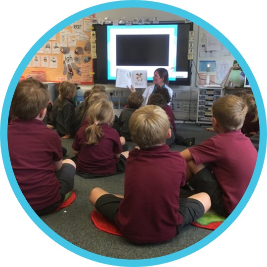 Primary School Programmes primary-school-programmes